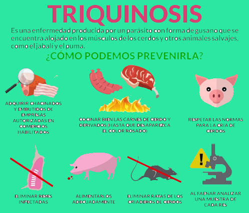 TRIQUINOSIS – Chaves Municipio